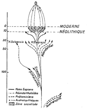 Teilhard de Chardin : une philosophie spirituelle du progrès – PHILITT